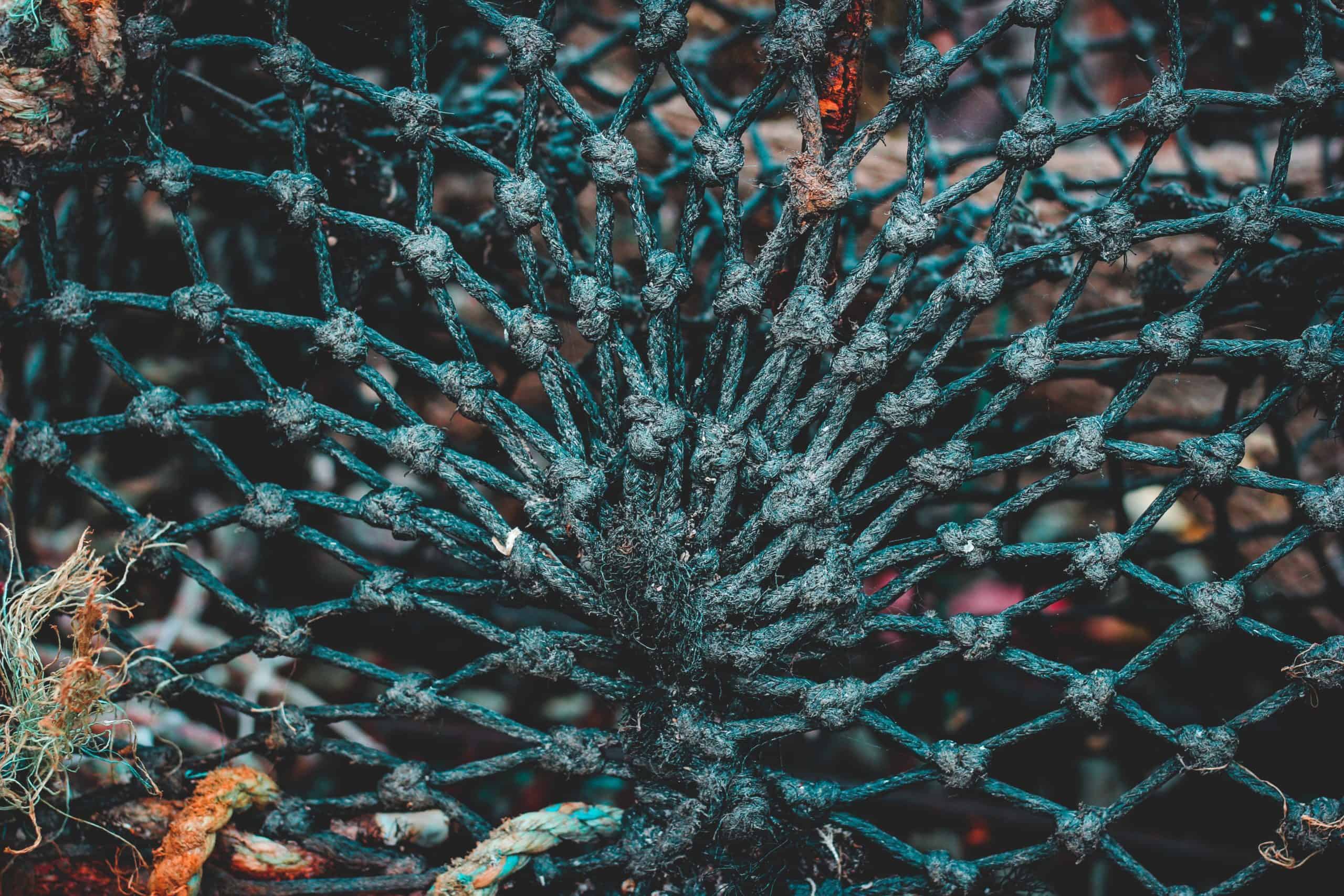 creating a psychological safety net | psychological safety net for teams